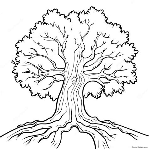 Oak Tree Coloring Sheet