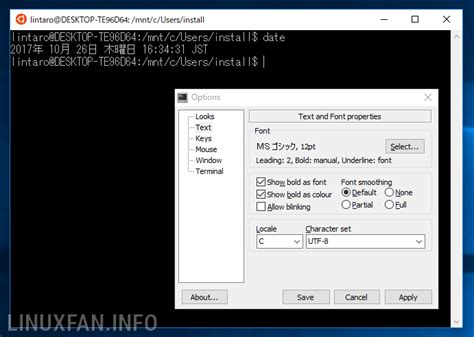 Wslを使うなら必須！「wsltty」で快適シェル環境を整える！ Lfi
