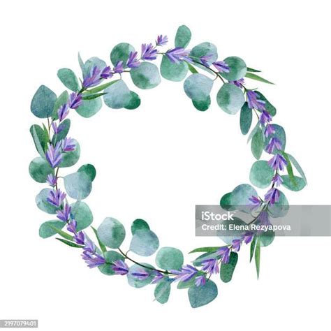 수채화 유칼립투스와 라벤더 가지 화환 흰색 배경에 고립 된 둥근 프레임 0명에 대한 스톡 벡터 아트 및 기타 이미지 0명