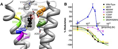 Correlation Between Potency And Physicochemical Properties A