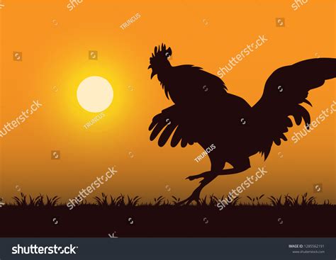 Stock Vector Silhouette Angry Rooster Grassland Stock Vector Royalty Free 1285562191