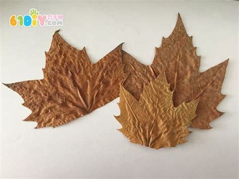树叶小刺猬贴画手工 精彩贴画 巧巧手幼儿手工网