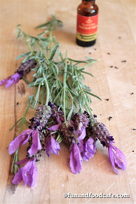 Homemade Lavender Scrub