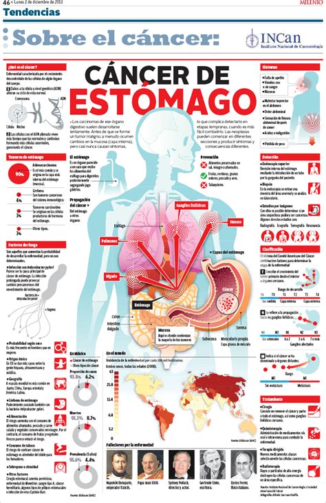 Vida Y Salud Hoy Cáncer De Estómago Causas Síntomas Diagnóstico Y