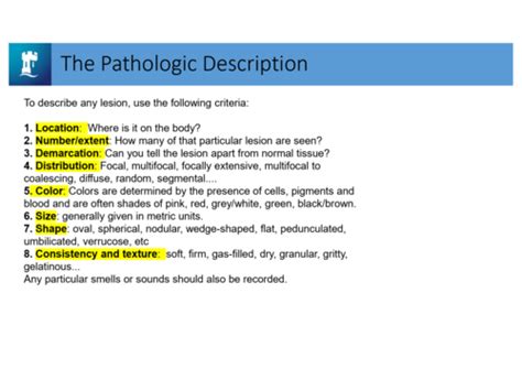 Gross Pathology Lesion And Morph Diagnoses Flashcards Quizlet