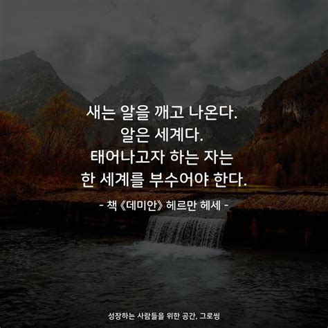 새는 알을 깨고 나온다 알은 세계다 태어나고자 하는 자는 그로씽 성장하는 사람들을 위한 공간