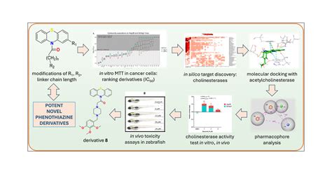 Synthesis And Structure Of Novel Phenothiazine Derivatives And Compound Prioritization Via In