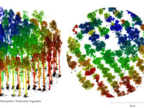 Forest Structural Complexity Tool—an Open Source Fully Automated Tool