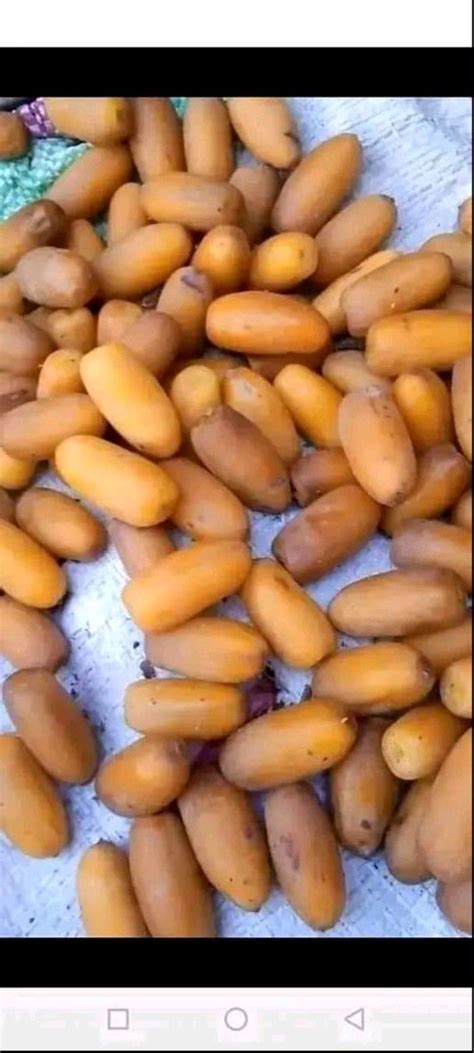 Hayatullah Khan Posted On Linkedin