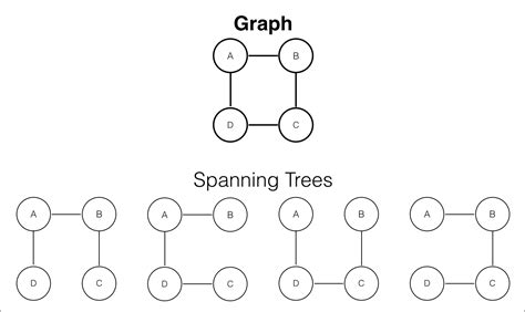 Define Trees With Example At Phoebe Hercus Blog