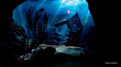 Disneyxd Network Launch Graphics Montage Behance