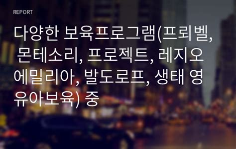 다양한 보육프로그램프뢰벨 몬테소리 프로젝트 레지오 에밀리아 발도로프 생태 영유아보육 중 레포트