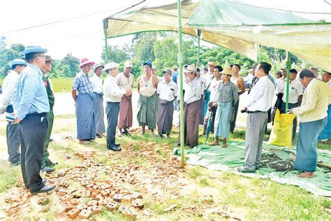 နေပြည်တော်ကောင်စီဥက္ကဋ္ဌ ဦးသန်းထွန်းဦး နေပြည်တော်အတွင်း စိုက်ပျိုးရေး