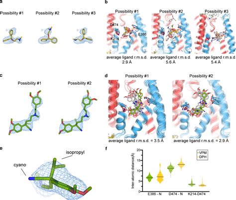 Molecular Basis Of Polyspecific Drug And Xenobiotic Recognition By Oct1