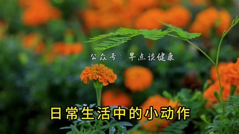 饭量与健康有何关系？