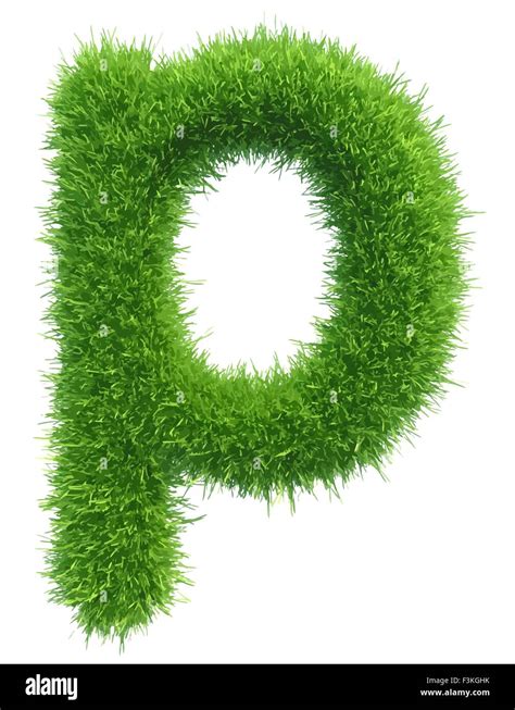 Vector Small Grass Letter P On White Background Stock Vector Image