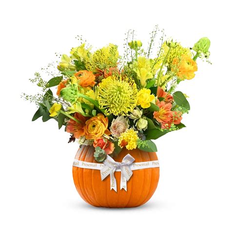 Squash Flower Presentail