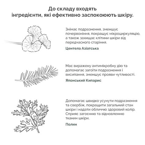 Needly Cicachid Relief Cream Заспокійливий крем з центелою | Jiviko