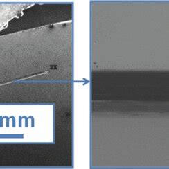 Surface Energies Of Ptfe And Silicone Surfaces Download Scientific Diagram