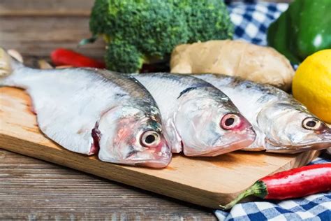Ikan Patin Punya Banyak Manfaat Intip Wilayah Penghasil Ikan Patin