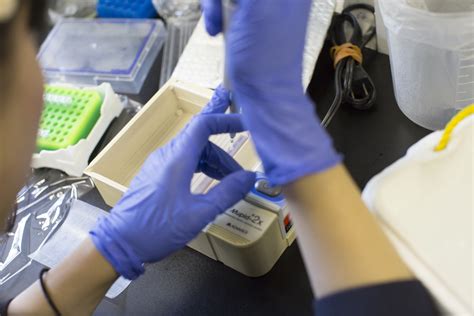 フォトギャラリー 日本大学 生物資源科学部 生命農学科