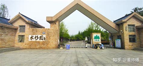 潜江避暑圣地水杉公园 知乎