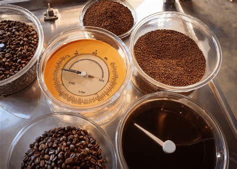 How Coffee Fermentation Actually Rewires Flavor Molecules Inside The