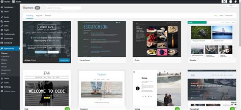 Themes WordPress Dashboard Problem WordPress Development Stack Exchange