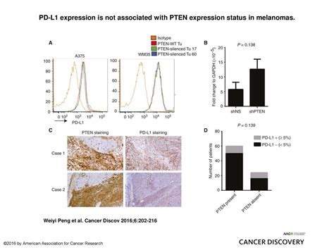 Pd L1 Expression Is Not Associated With Pten Expression Status In