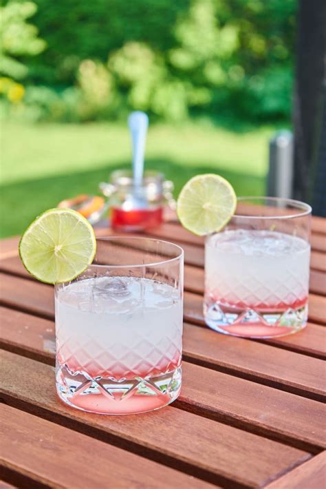 Rabarber Gin Hass Læskende Og Smuk Drink Med Rabarber Og Gin