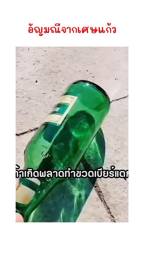 สระว่ายน้ำม้า เกมโชว์ ฟีด ตามกระแส เทรนด์ เทรนด์วันนี้ ติดเทรนด์