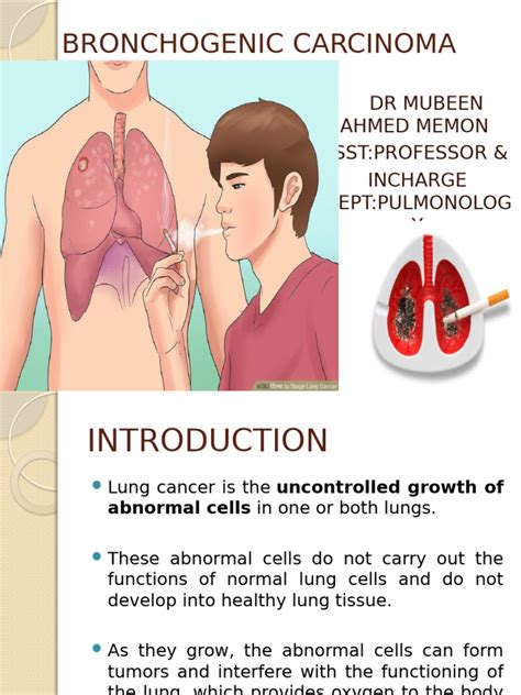 Lung Ca Pdf Lung Cancer Cancer