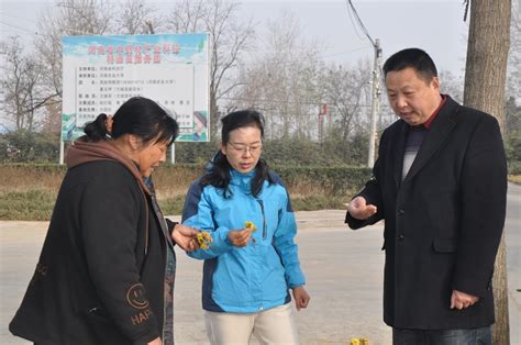 我校中药材产业科技特派员服务团赴方城县开展科技服务河南农业大学社会服务处