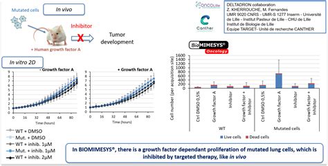 Matrix Factor Cancer