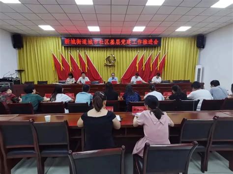 高举旗帜 响应号召 奋进新时代 启航新征程坚持党建引领 促城市基层治理更有效新城街道召开城 澎湃号媒体 澎湃新闻 The Paper