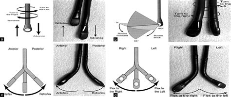 A Advance Withdraw Pushing Or Pulling The Tip Of The Tee Probe B Download Scientific