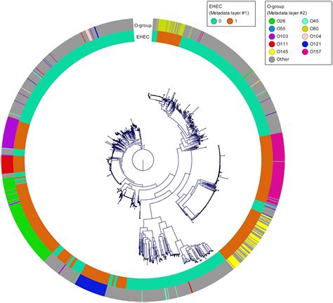 Frontiers Combination Of Whole Genome Sequencing And Supervised Machine Learning Provides