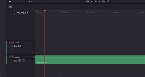 Amg Gpt Davinci Resolve Shows Just Black Screen Only Sound Works Rnobaraproject