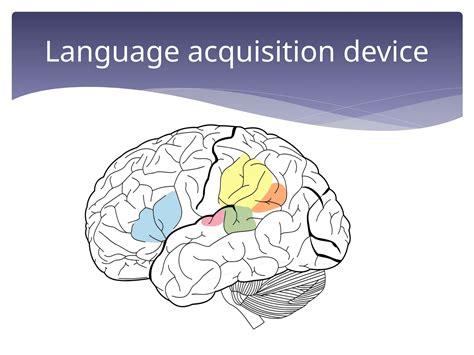 chomsky language acquisition device 1 pptx