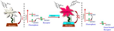 Schematic Representation Of The Photo Induced Electron Transfer
