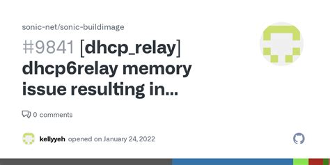 Dhcp Relay Dhcp Relay Memory Issue Resulting In Segfault Issue