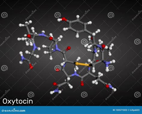 Oxytocin Oxt Peptide Hormone And Neuropeptide Molecule Structural