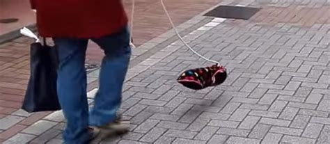 Thousands Of People Cant Believe Their Eyes Hes Walking His