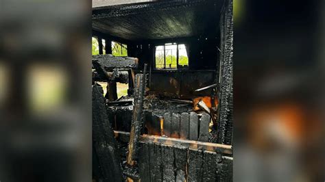 Под Уфой сгорел приют для бездомных животных две собаки погибли