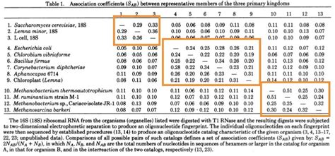 The Tree Of Life Most Important Paper Ever In Microbiology Woese