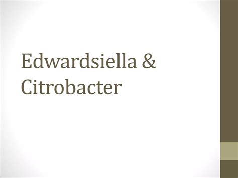 Citrobacter And Edwardsiella Pptx