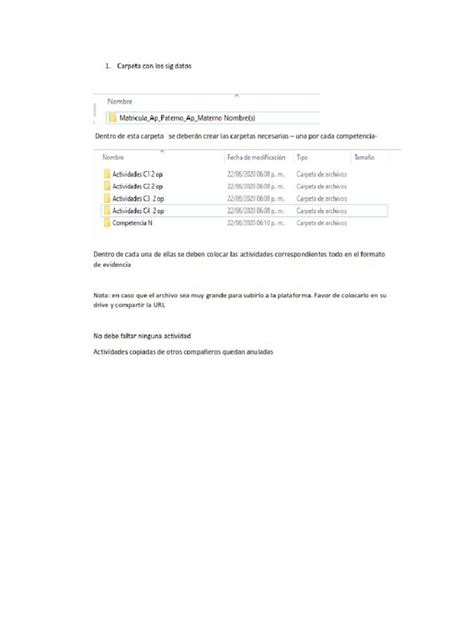 actividad 2op taller bd pdf bases de datos sql
