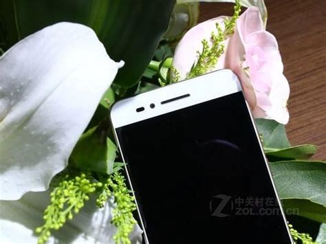 中興遠航4s 智能老人機手機 金色續航出色 京東738元火熱銷售中 每日頭條