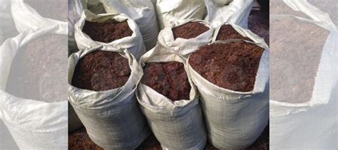 Органические удобрения Бесплатно купить в Гатчине по низкой цене Товары для дома и дачи