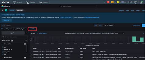 Mcp How To Get The Users Activity On The Mcp Server Through Audit Log In Csv Format